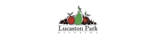 Lucaston Park Orchards invests early in AI for cherry grading